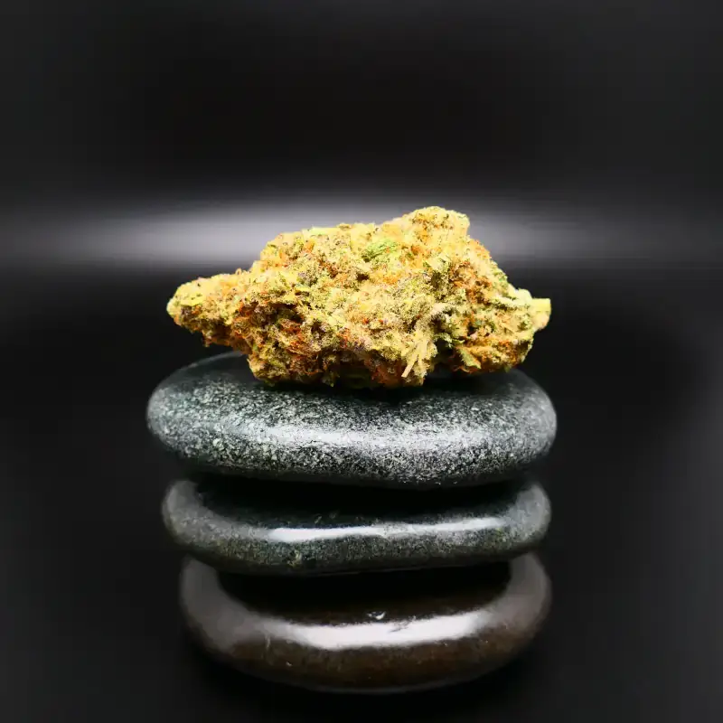 420 Evolution 22/1 CA MAC - Medizinisches Cannabis Apotheke Cannabisblüten